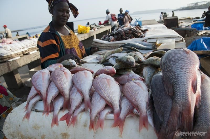 Earth Journalism Network West African Fisheries Reporting Grants 2017 ...
